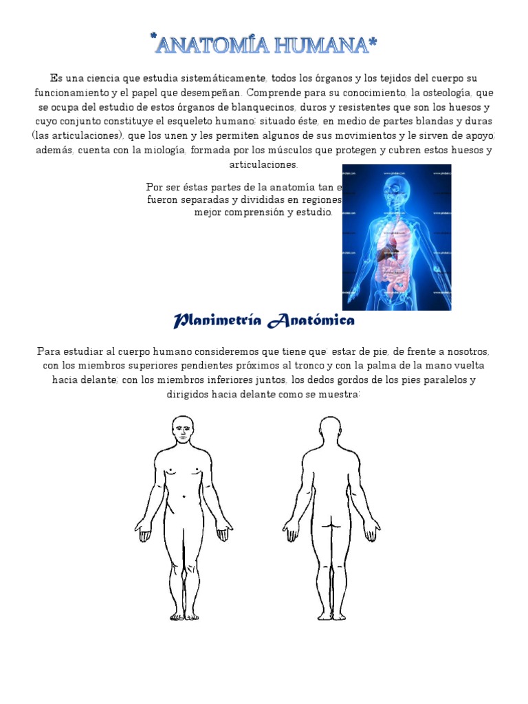 Generalidades de la anatomía humana | Órgano (anatomía) | Cuerpo humano