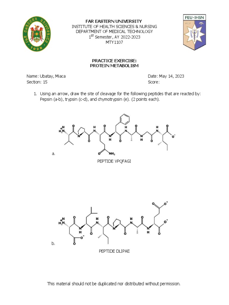 Protein Metabolism Practice Exercise | PDF | Metabolism | Proteolysis