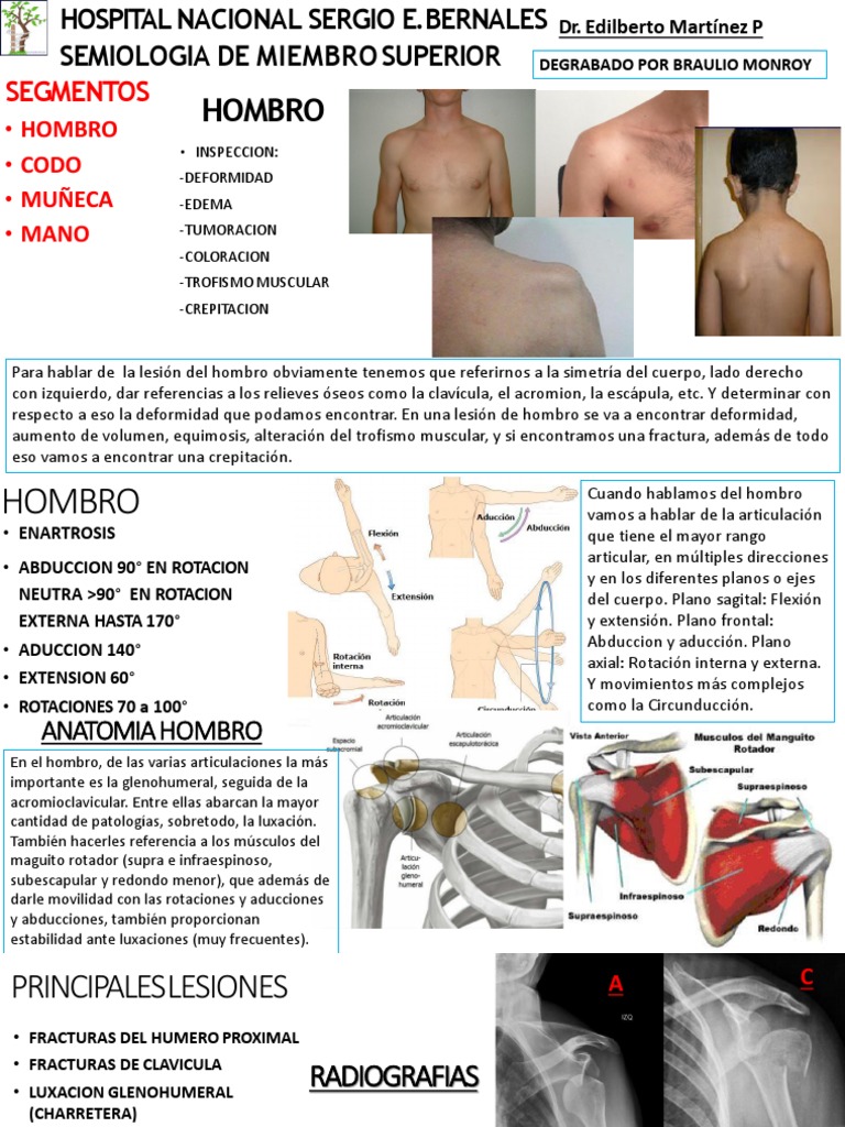 Semiologia Del Aparato Locomotor II | PDF | Hombro | Codo