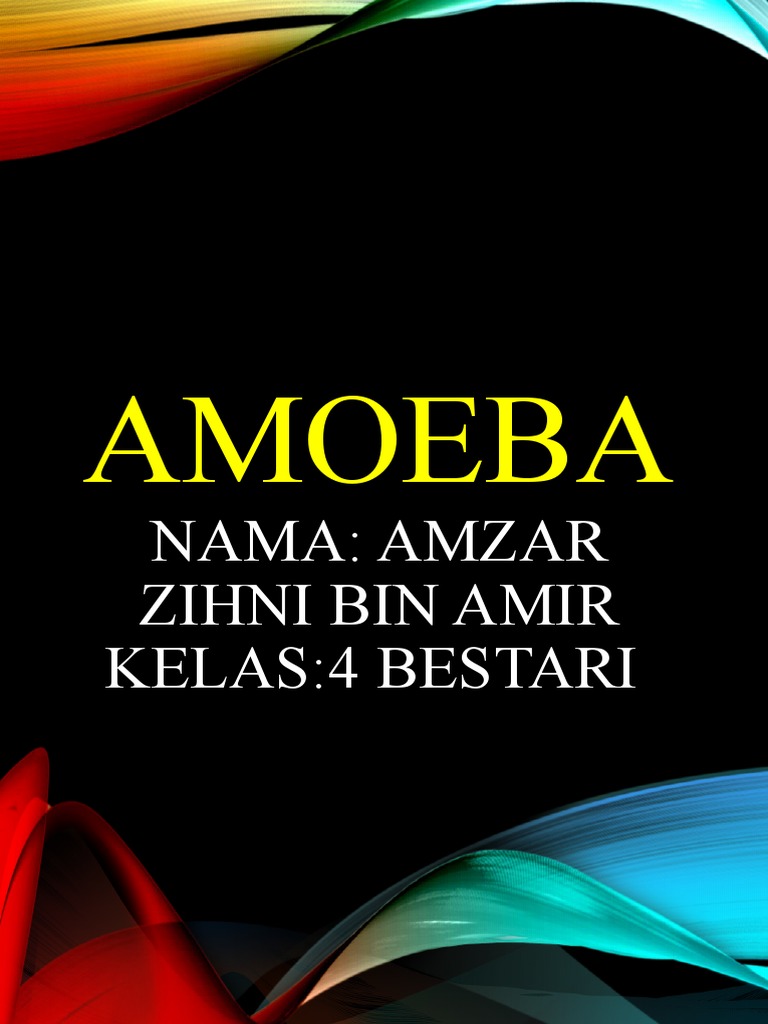 AMOEBA | PDF