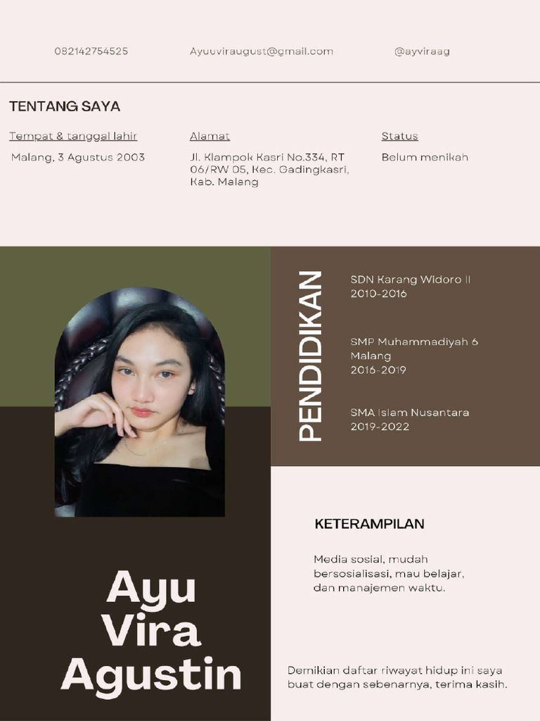 CV Ayu Vira Agustin | PDF