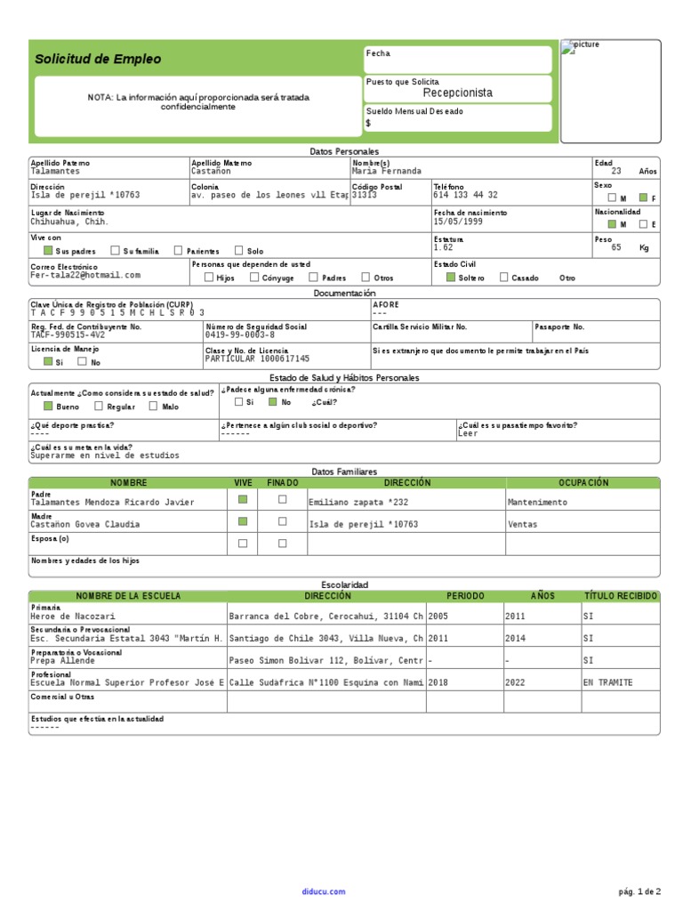 Solicitud de Empleo PDF | PDF