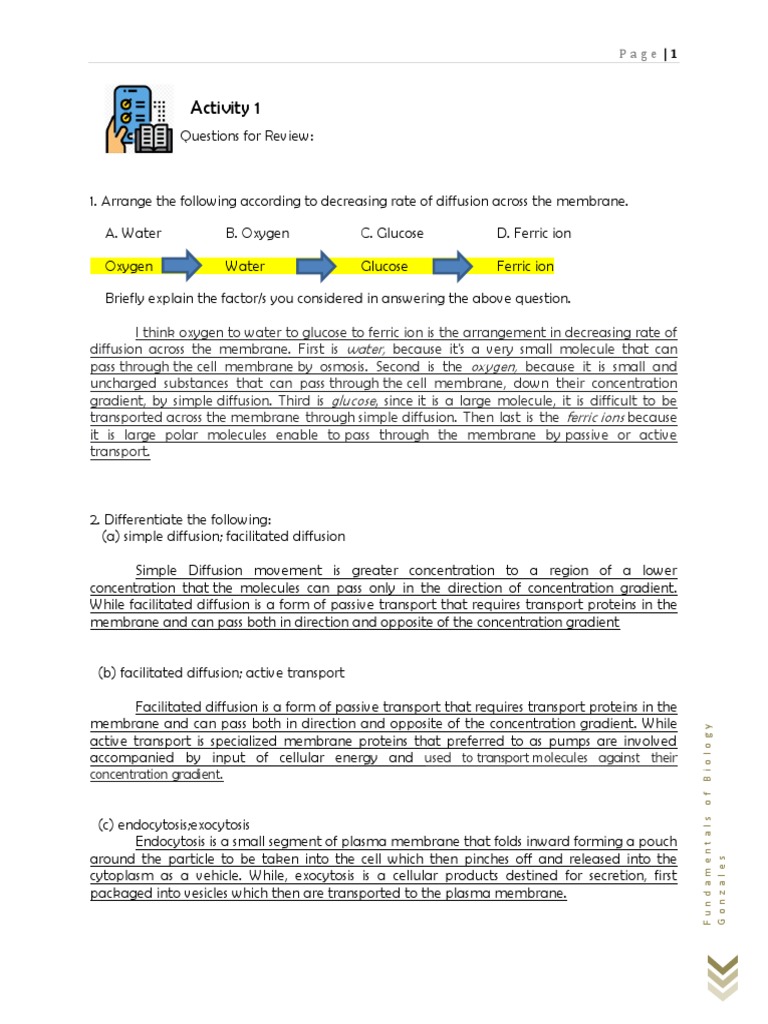 Membrane Transport Mechanisms Explained | PDF | Cell Membrane | Diffusion
