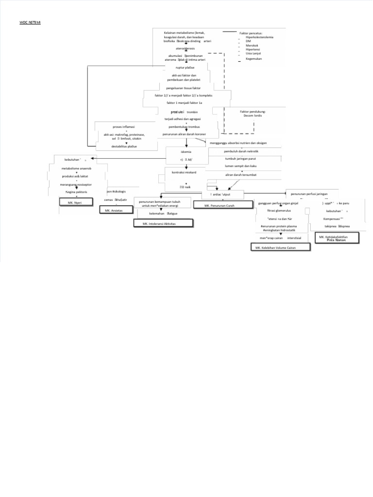Dokumen - Tips Woc-Nstemi | PDF