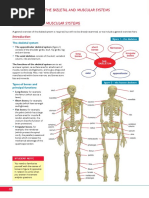 Level 2 Anatomy and Physiology 50 Mock Questions + Answers | PDF ...