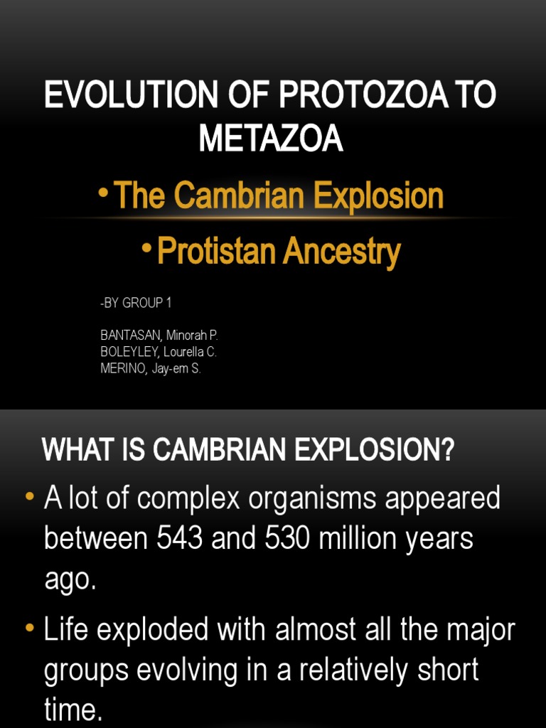 The Cambrian Explosion: Evolution of Complex Life from Single-Celled ...