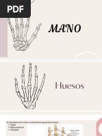 Anatomía de Huesos y Articulaciones de la Mano | PDF | Mano ...
