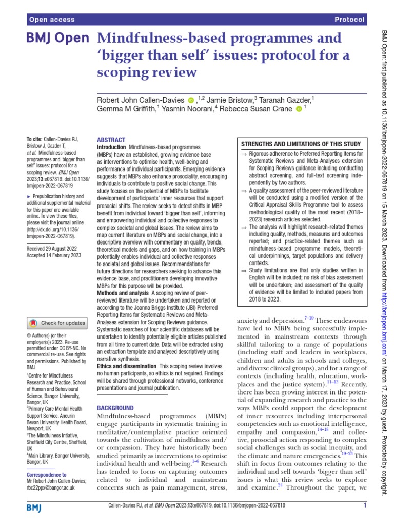 Mindfulness-Based Programmes and Bigger Than Self Issues Protocol For A ...