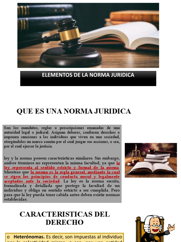 Elementos de La Norma Juridica Tema 3 | PDF | Justicia | Crimen y violencia