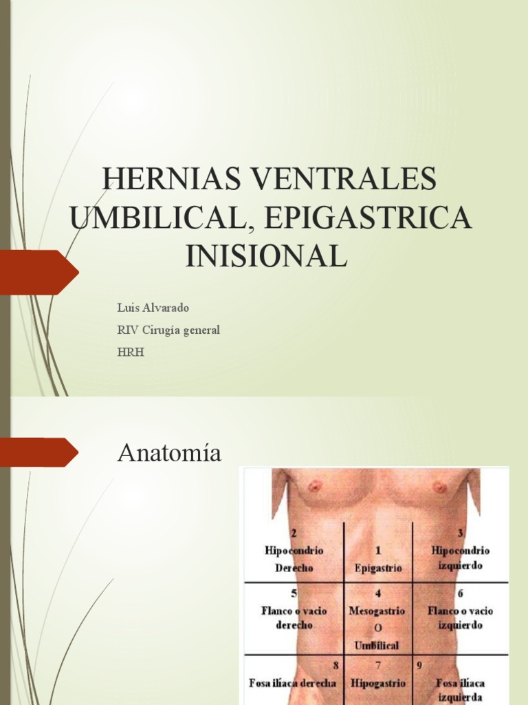 Hernias Pared Abdominal | PDF | Abdomen | Enfermedades y trastornos