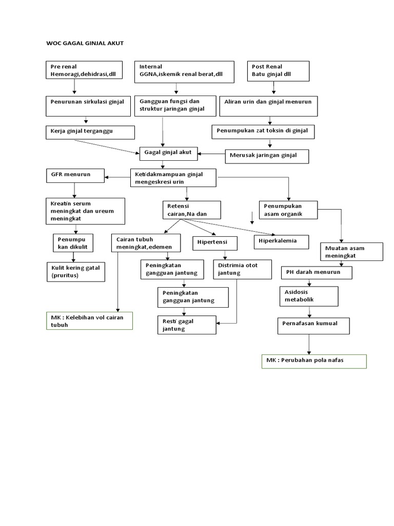 Woc Gagal Ginjal Akut | PDF