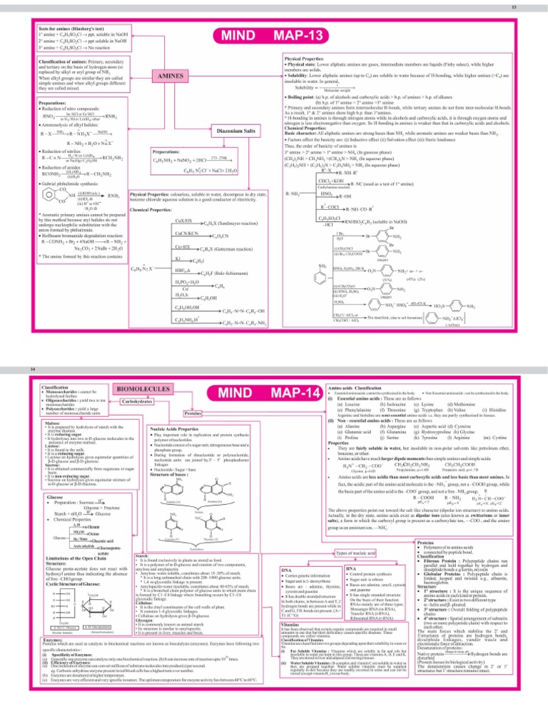 Amines and Biochemistry Mind Map PDF | PDF