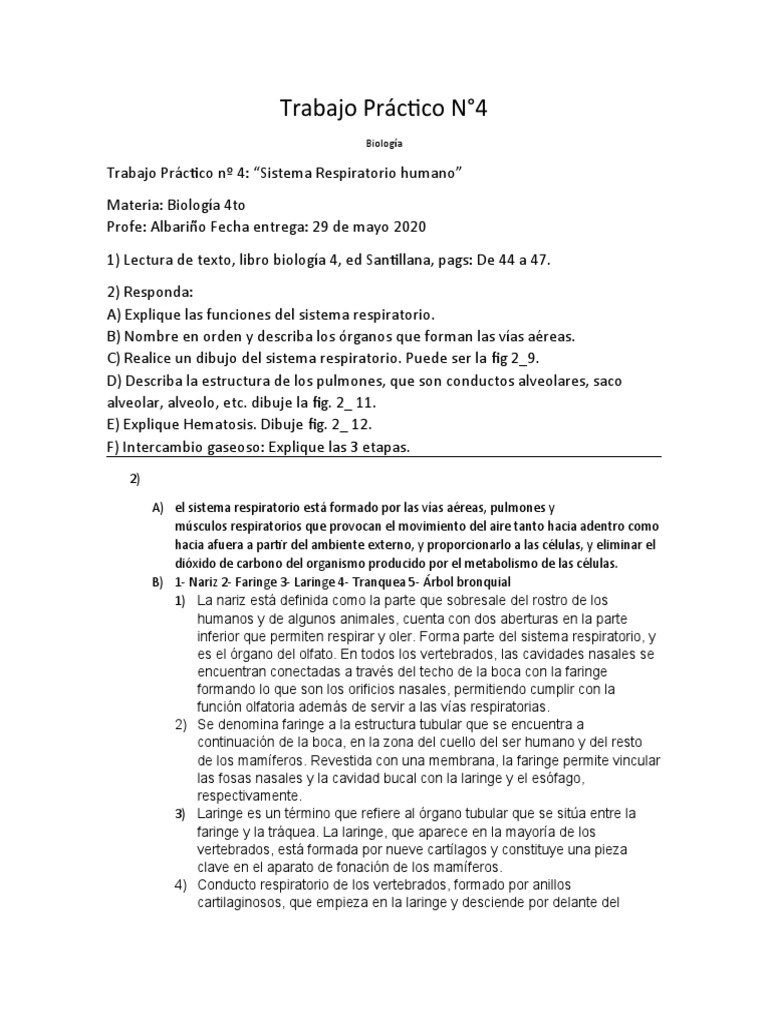 TPn°4 Biologia | PDF | Pulmón | Respiración