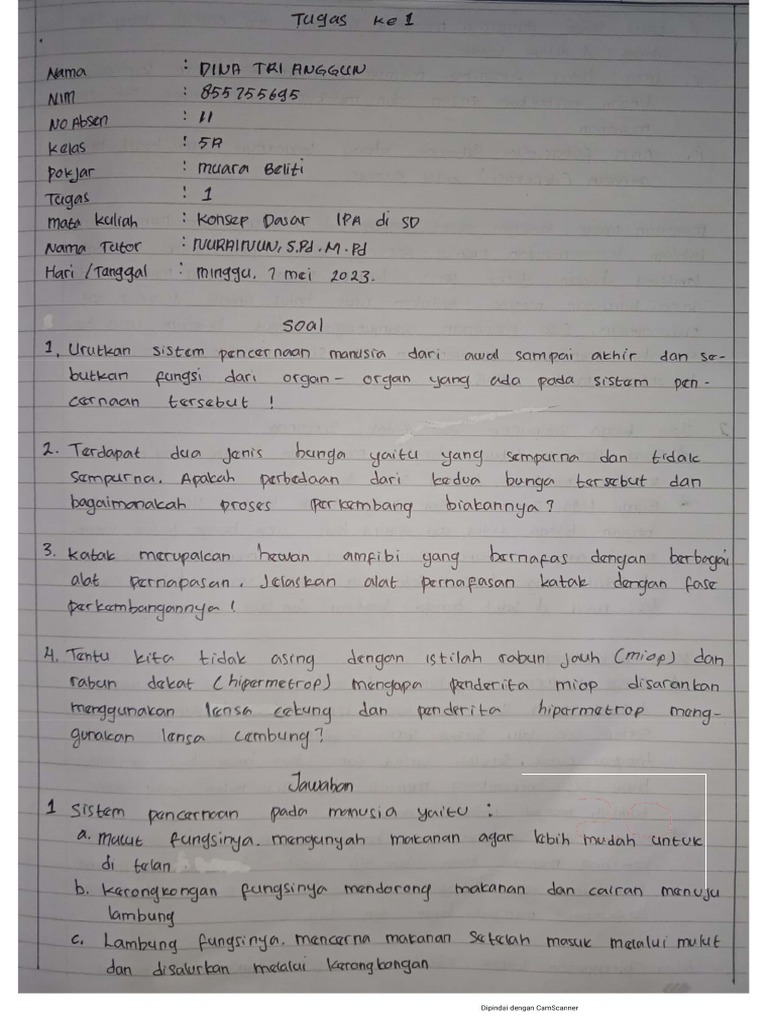 Tugas 1 Konsep Dasar IPS - Dina Tri Anggun - No Urut 11 | PDF Tugas 1 Konsep Dasar IPS - Dina Tri Anggun - No Urut 11 | PDF