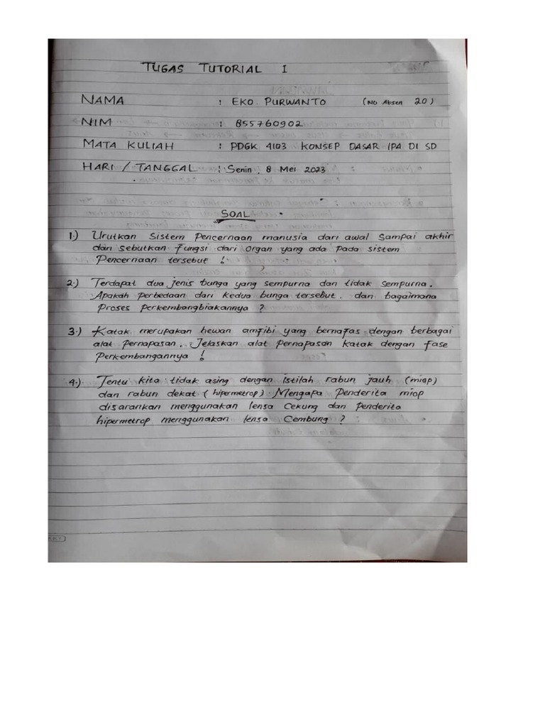 Tugas Eko Purwanto PDGK4103 | PDF