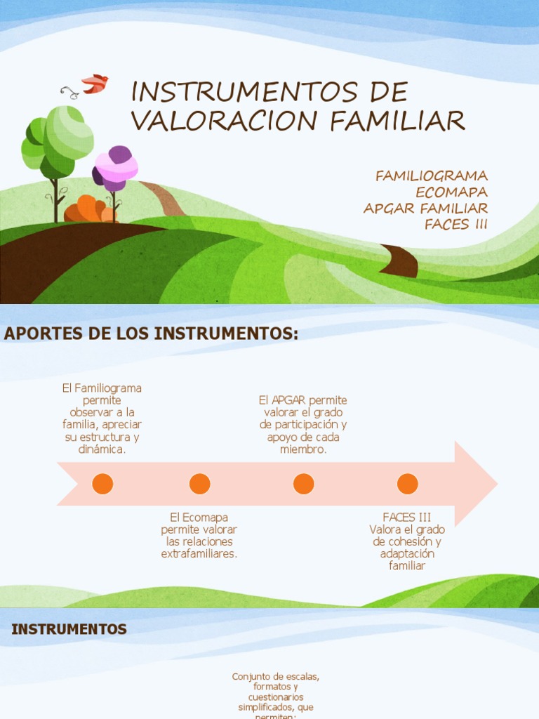 Instrumentos de Valoracion Familiar | PDF | Familia | Comportamiento