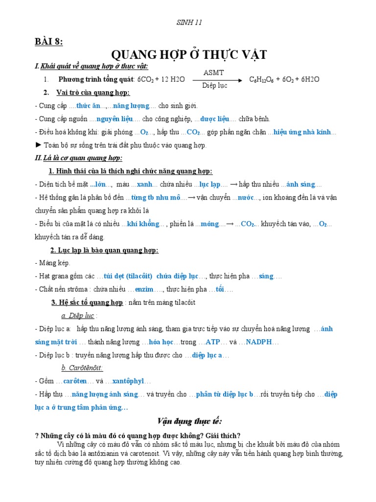 11 - B9 - Bài 8 | PDF