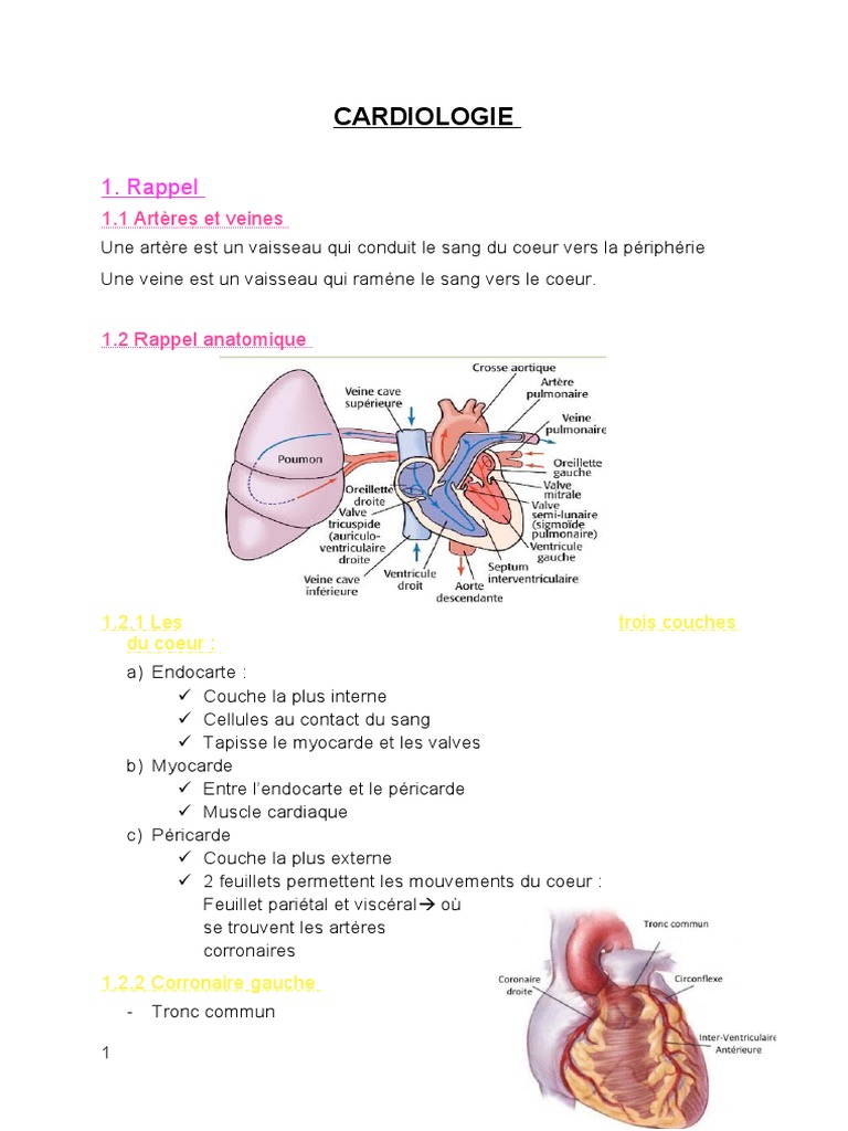 Anatomie et physiologie cardiaque | PDF
