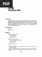 DIBELS 8th Edition Maze Benchmark | PDF