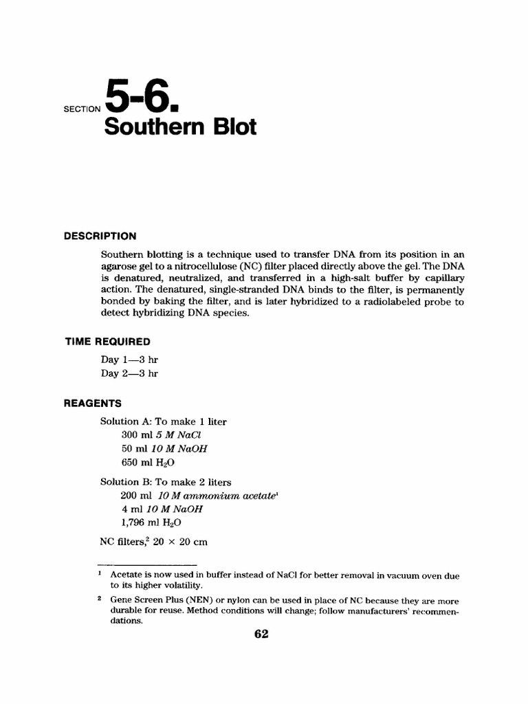 SOuthern Blot PDF | Download Free PDF | Gel Electrophoresis | Blot ...