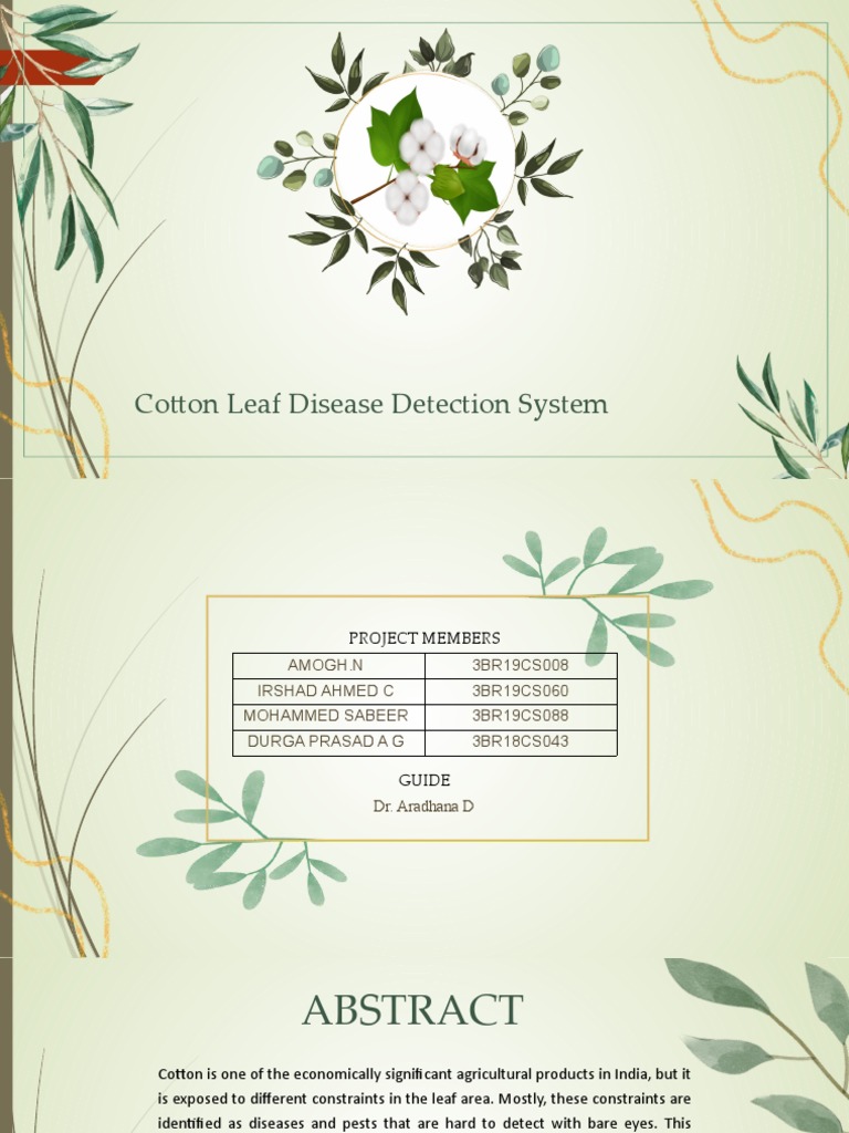 CLDDS PPT SHOW Phase2 | PDF | Deep Learning | Usability