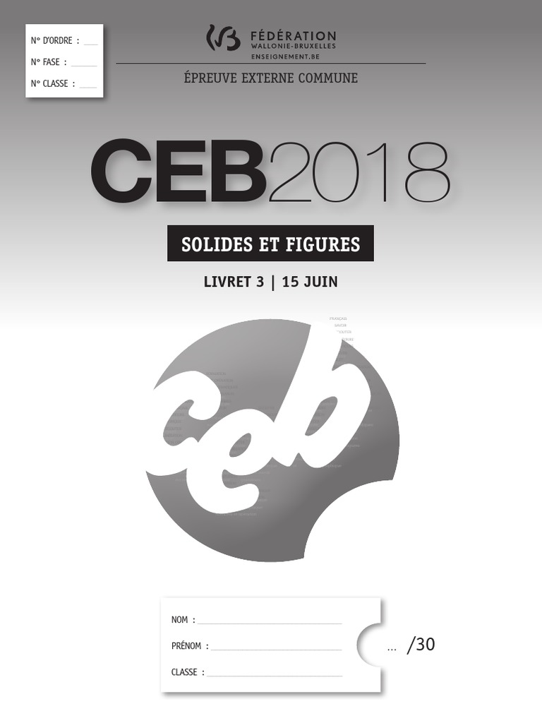CEB 2018 Questionnaire | PDF