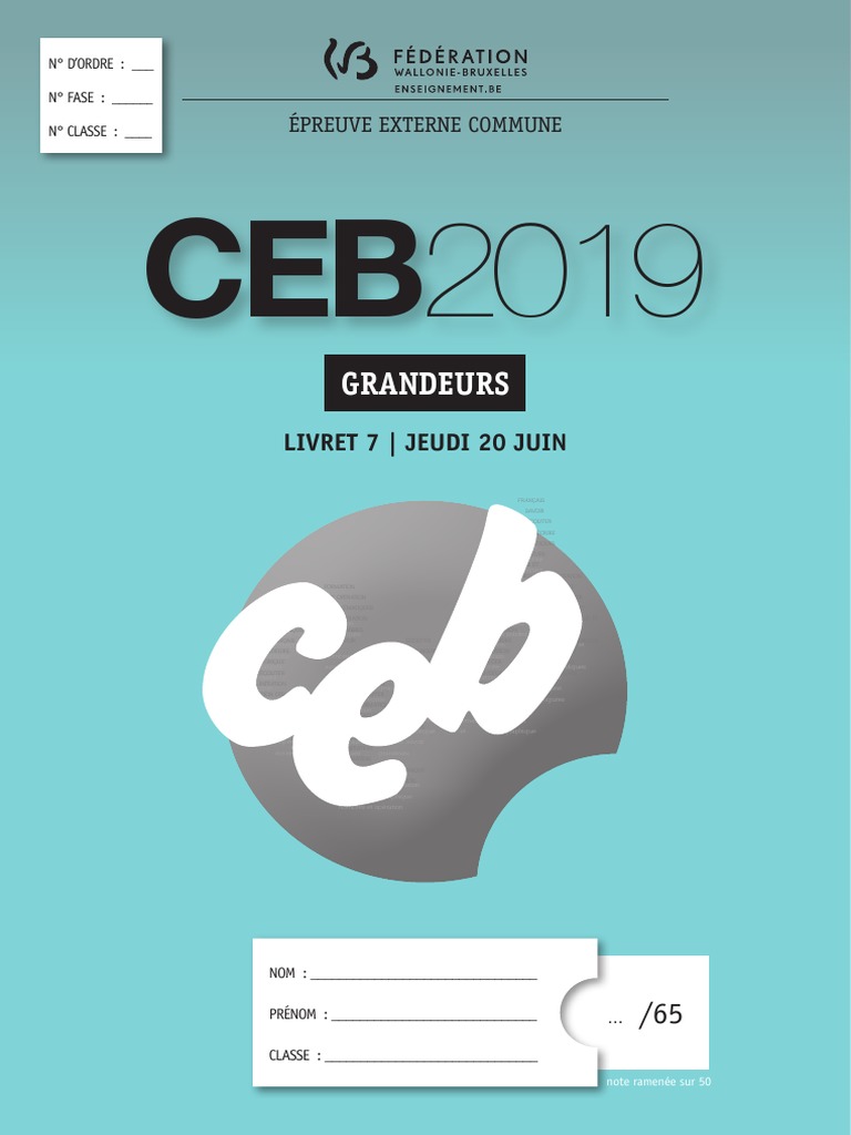CEB 2019 Questionnaire PDF | PDF