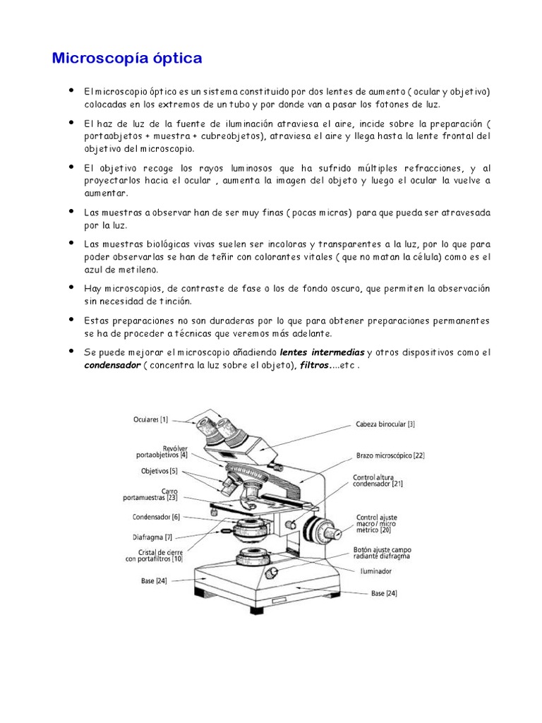Microscopios PDF | PDF | Microscopio | Resolución angular