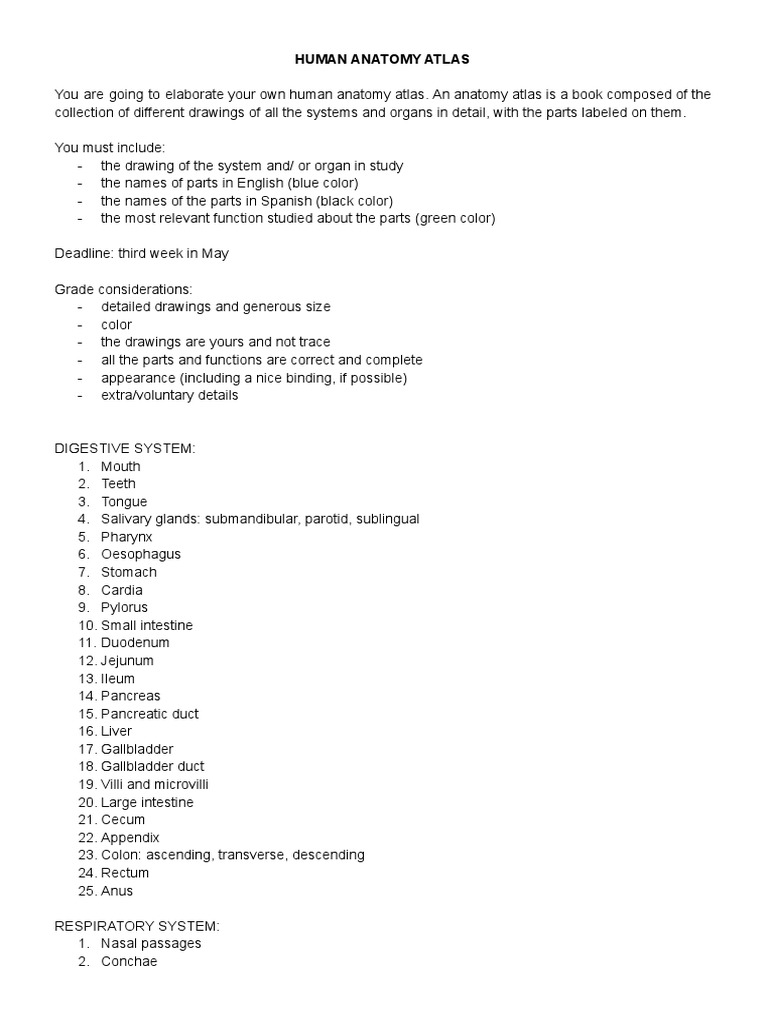 Human Anatomy Atlas | PDF | Organ (Anatomy) | Anatomy