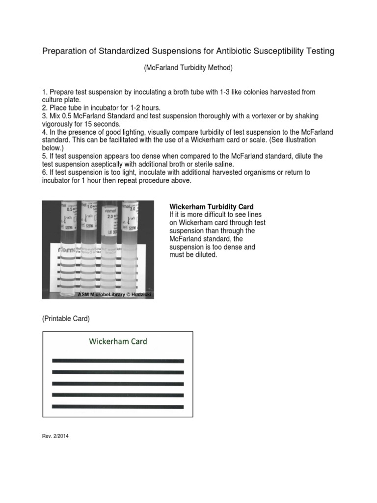 Preparing 0.5 McFarland Standard | PDF