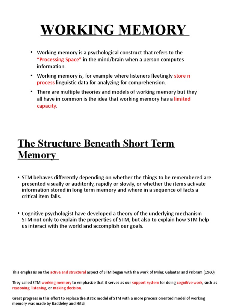 Working Memory Final | PDF | Working Memory | Memory