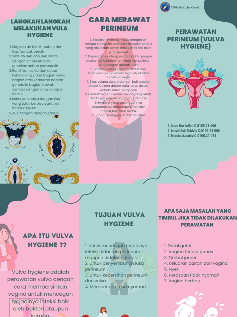 Panduan Perawatan Vulva Hygiene | PDF