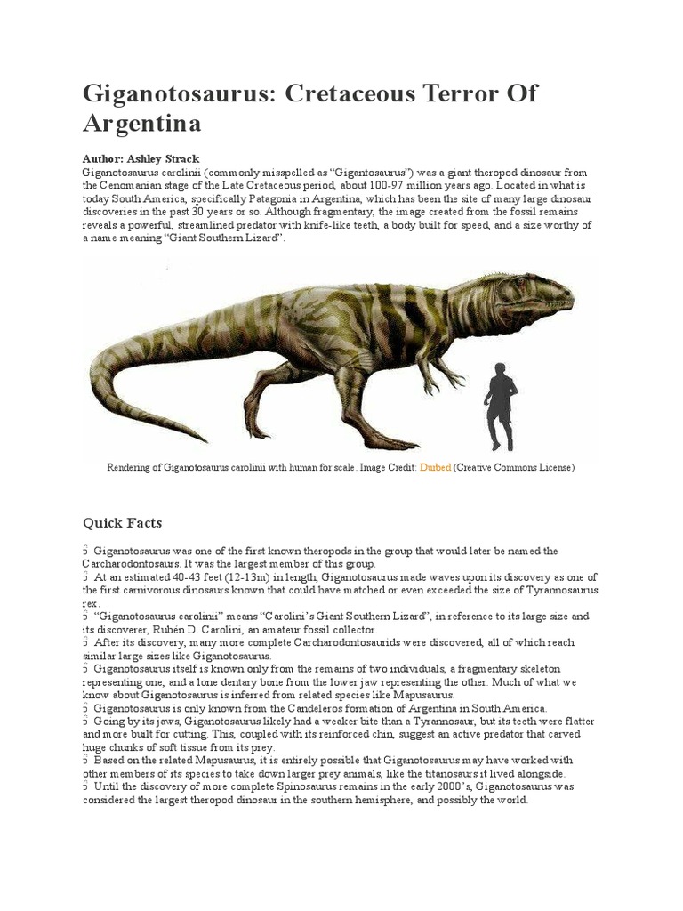 Giganotosaurus | PDF | Tyrannosaurus | Mesozoic Dinosaurs