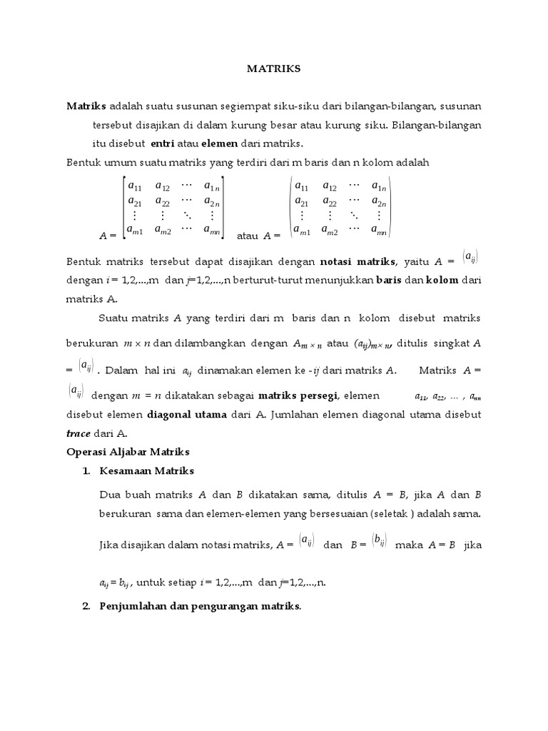 Bab I - Penjelasan Matriks | PDF
