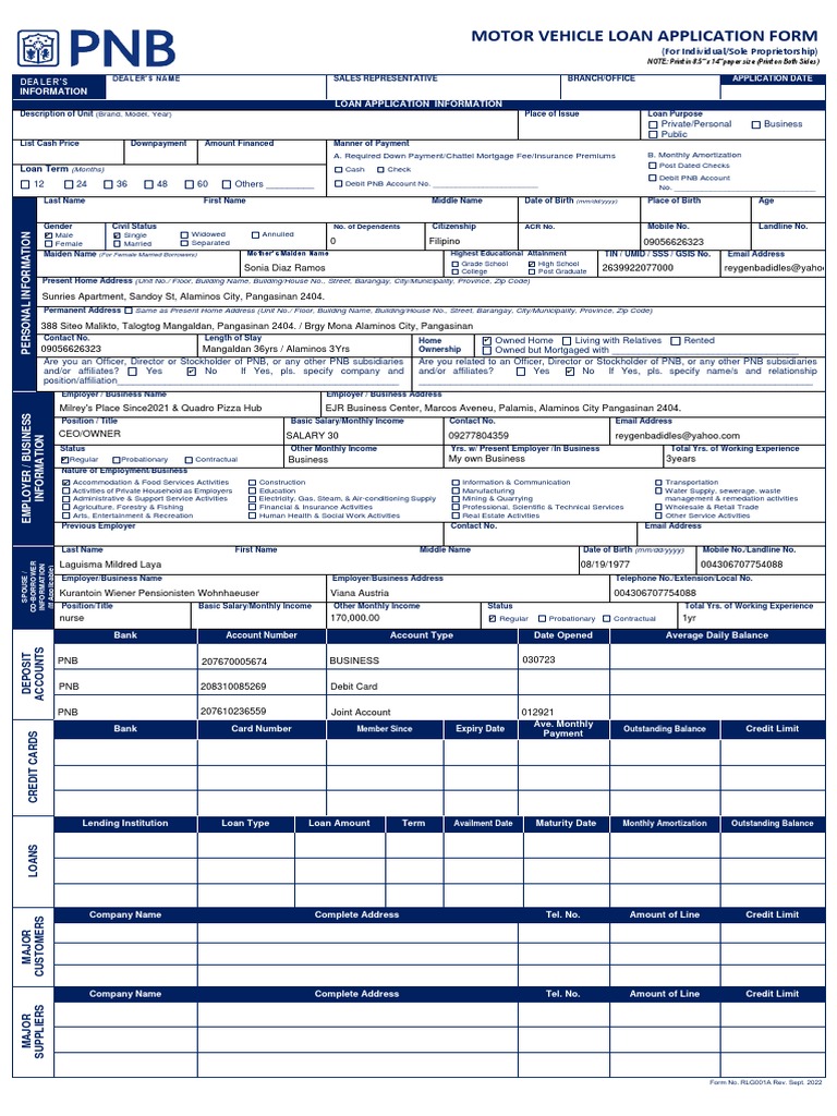 PNB PDF | PDF | Banks | Loans