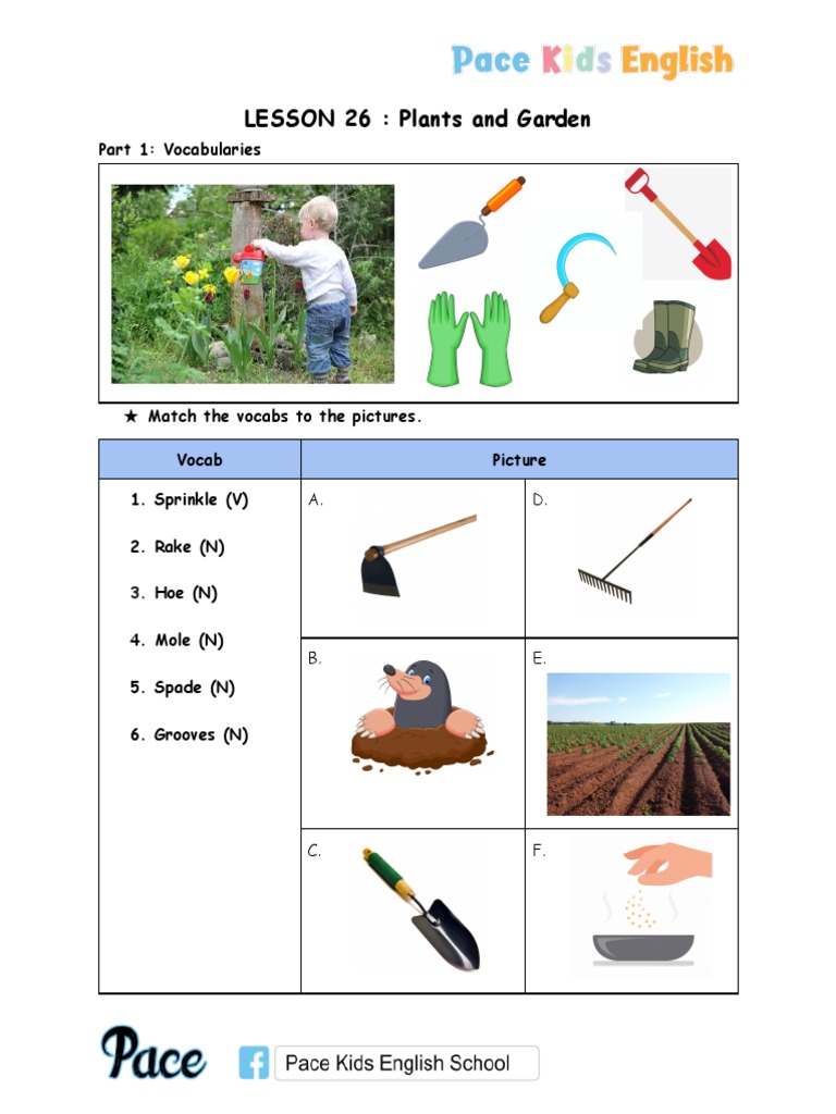 Gardening Vocabulary and Activities | PDF