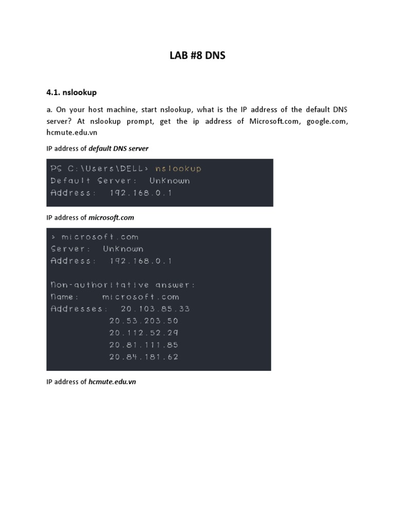 Lab 8 DNS | PDF