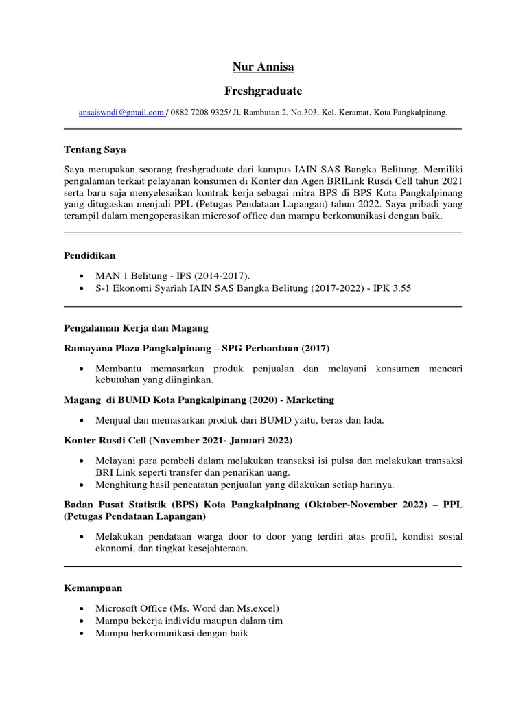 CV Nur Annisa Umumm | PDF