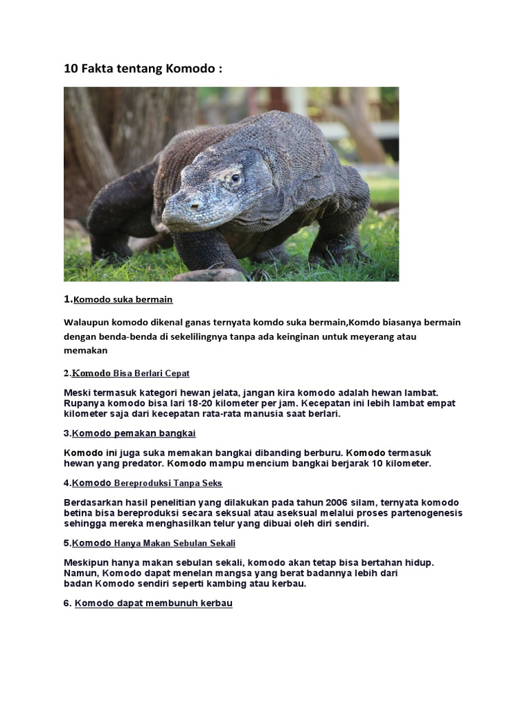 10 Fakta Tentang Komodo | PDF