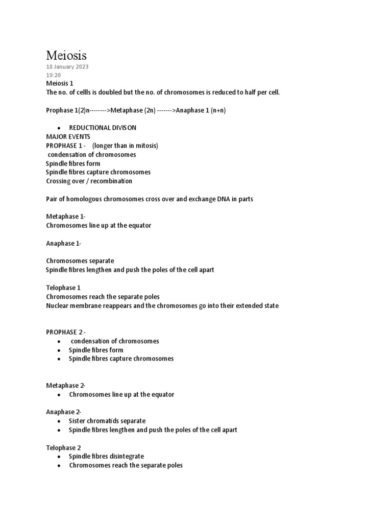 Meiosis Stages and Key Events | PDF