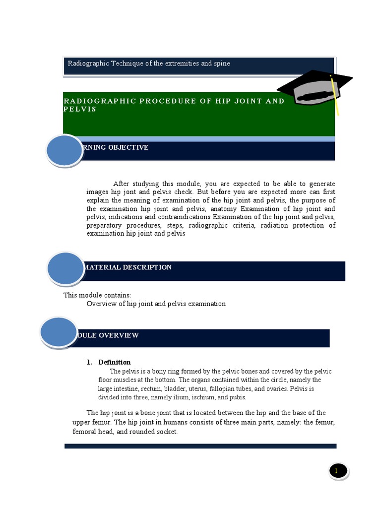 Modul Hip and Pelv | PDF | Pelvis | Hip