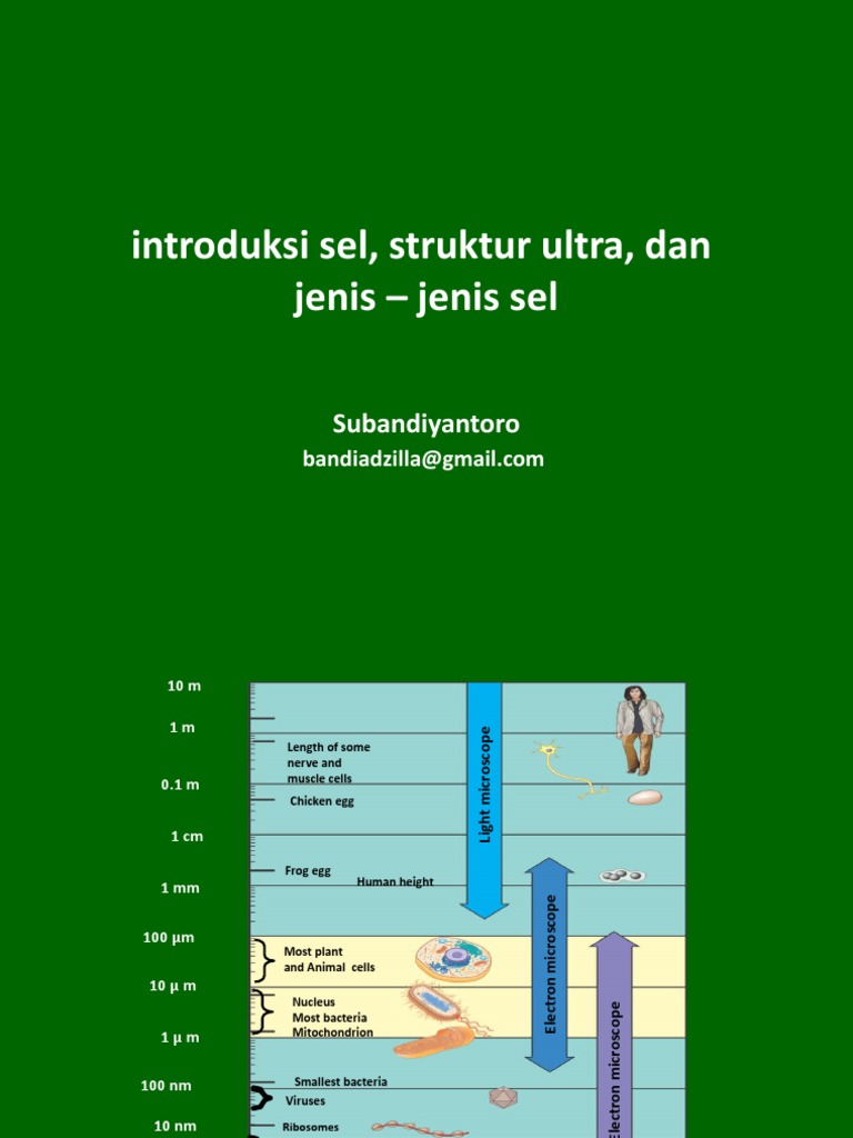 Introduksi Sel Dan Untra Struktur Sel, Jenis - Jenis Sel | PDF ...