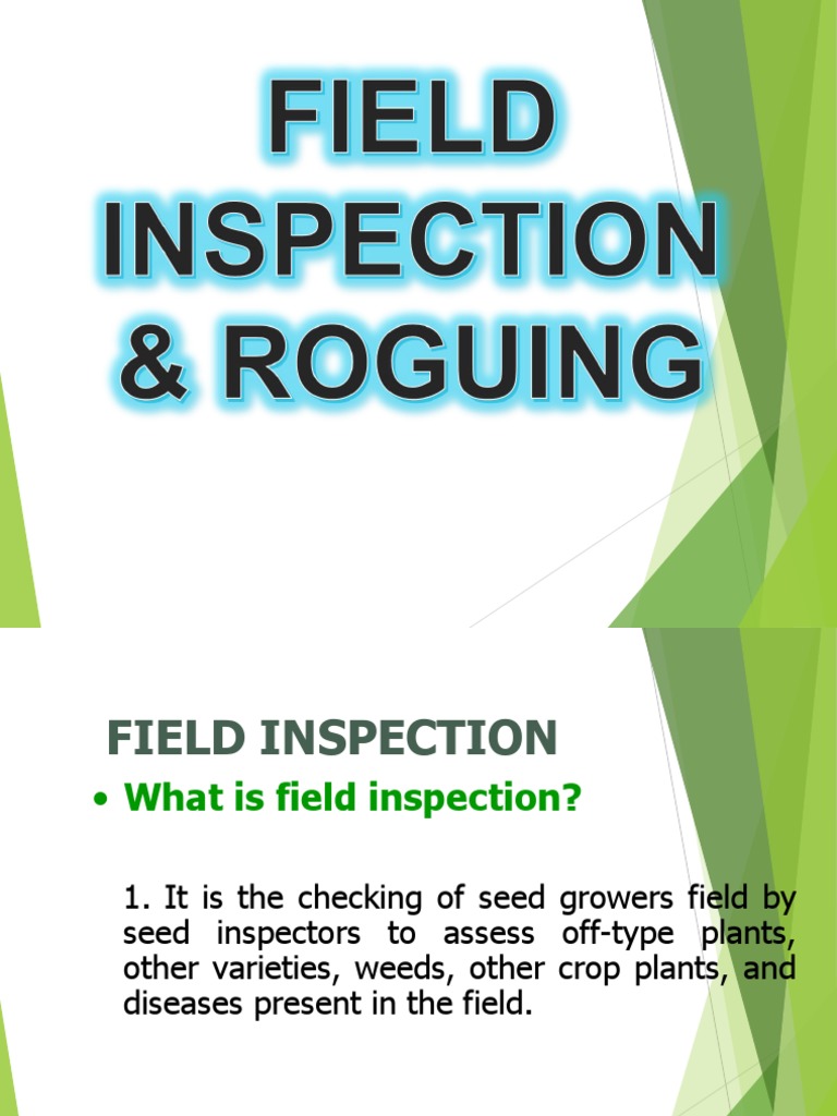 Field Inspection & Roguing | PDF | Rice | Flowers