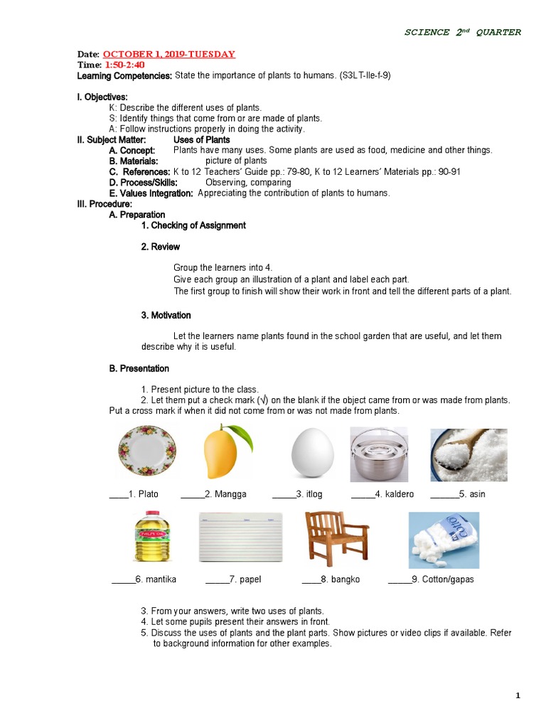 Uses of Plants: Lesson Plan for Grades 1-4 | PDF | Home & Garden