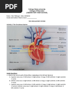 Apical Lordotic Chest X-Ray Positioning | PDF | Thorax (Human Anatomy ...