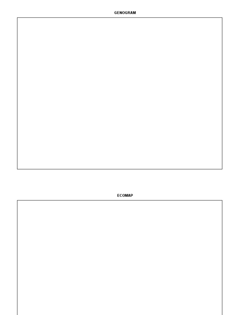 Genogram Ecomap | PDF