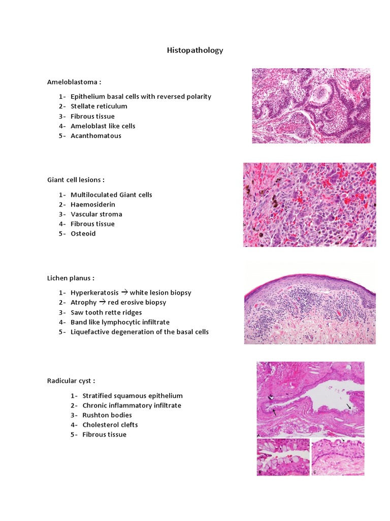 Histopathology PDF | PDF