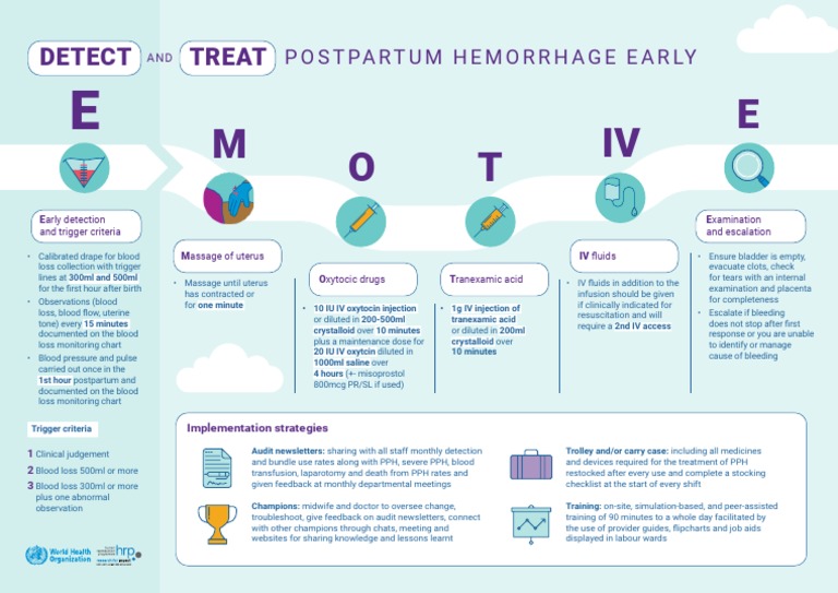 Who HRP e Motive Poster PDF | PDF