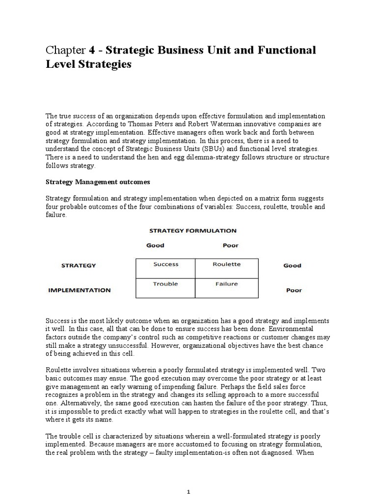 Strategic Business Unit and Functional Level Strategies | PDF ...