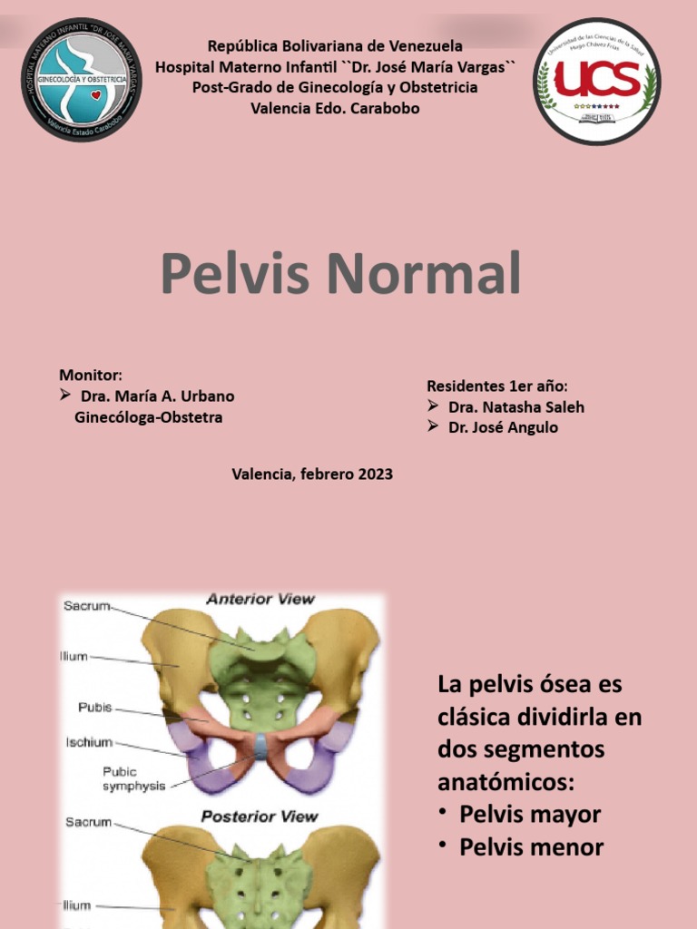Pelvis | PDF | Pelvis | Sistema musculoesquelético